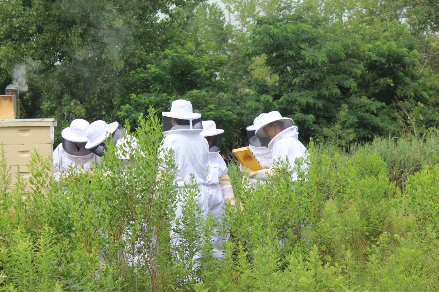 HCST Summer Sustainability Project 2023 – Hudson County Schools of ...